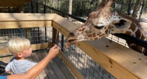 Wild & Wonderful: Where to See Animals Near Charleston, SC