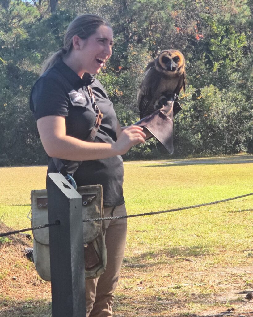 Wild & Wonderful: Where to See Animals Near Charleston, SC