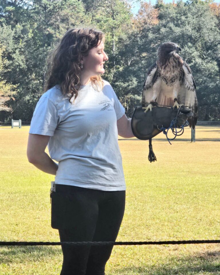 Wild & Wonderful: Where to See Animals Near Charleston, SC