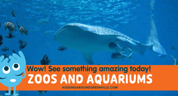 Wild & Wonderful: Where to See Animals Near Charleston, SC