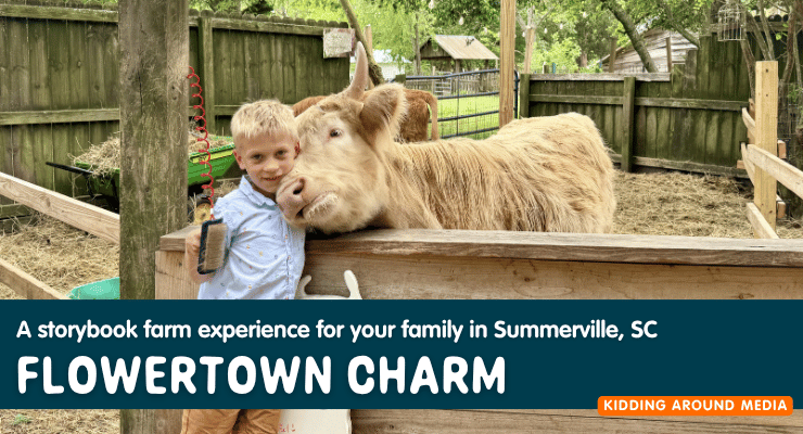 Flowertown Charm in Summerville, SC: A Sweet Animal Experience