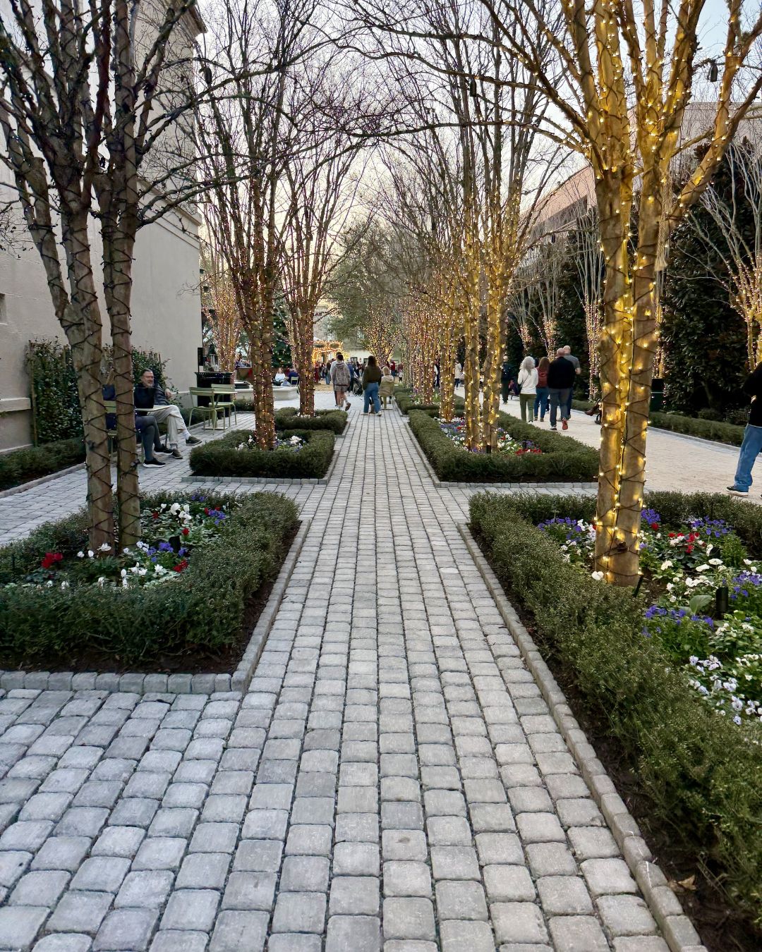 Charleston in Bloom: American Gardens Park Events & Things to Do (2026)